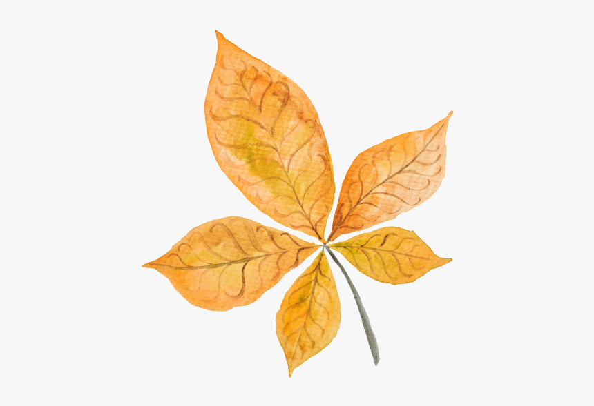 Fall Leaves Bullet Journal, HD Png Download , Transparent Png Image ...