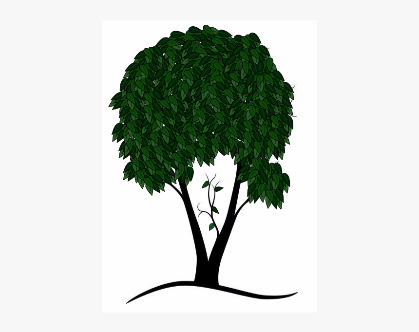 Untitled - End Gif With Trees, HD Png Download , Transparent Png Image ...