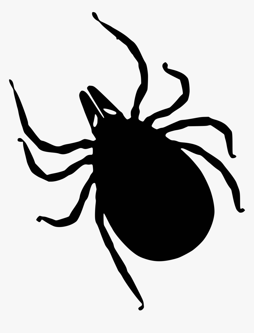 Tick Cartoon Insect
