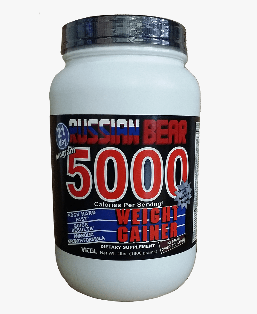 Russian Bear 5000 Mass Gainer, HD Png Download , Transparent Png Image ...