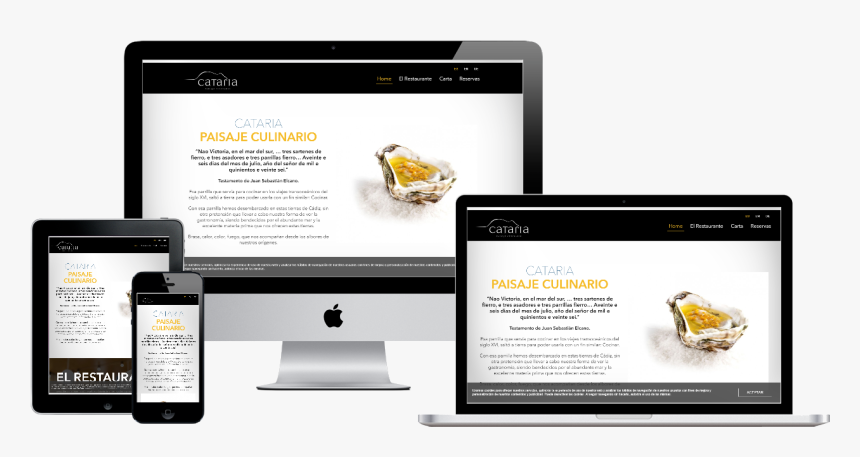 Web Design, HD Png Download , Transparent Png Image - PNGitem