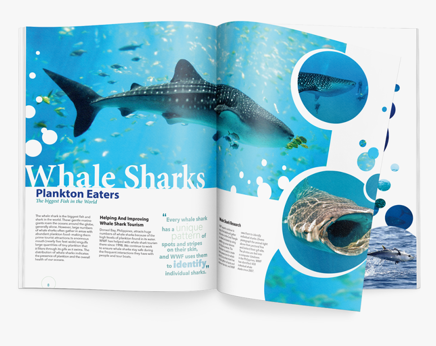 Great White Shark , Png Download, Transparent Png , Transparent Png ...
