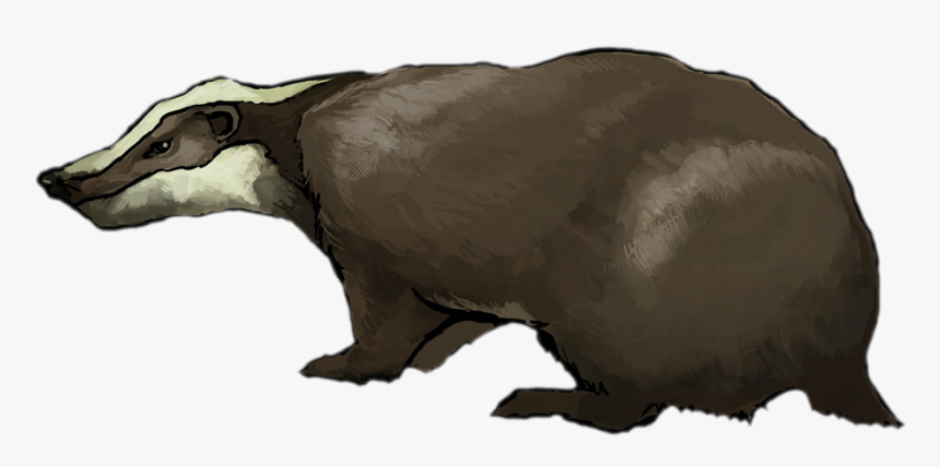Badger Png, Transparent Png , Transparent Png Image - PNGitem