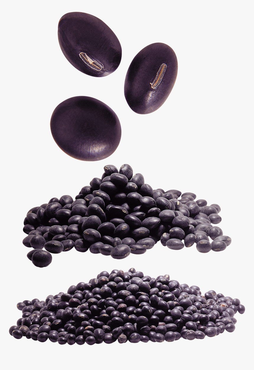 Kidney Beans Png, Transparent Png , Transparent Png Image - PNGitem