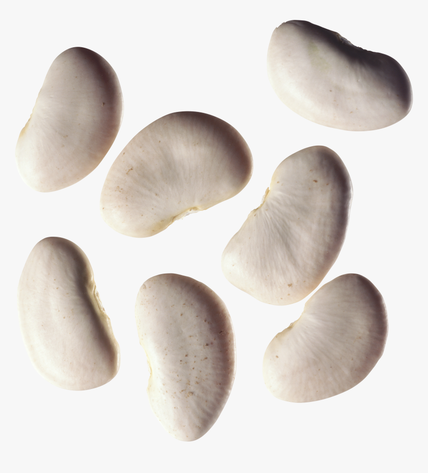 Kidney Beans Png, Transparent Png , Transparent Png Image - PNGitem