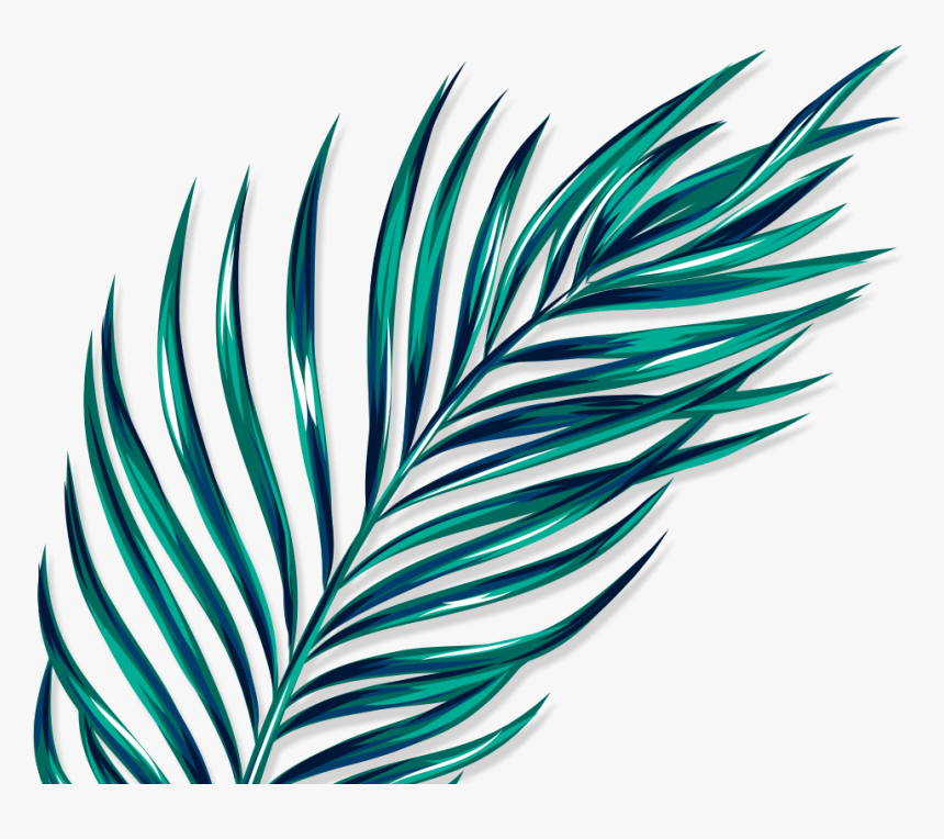 Turquoise Png, Transparent Png , Transparent Png Image - PNGitem