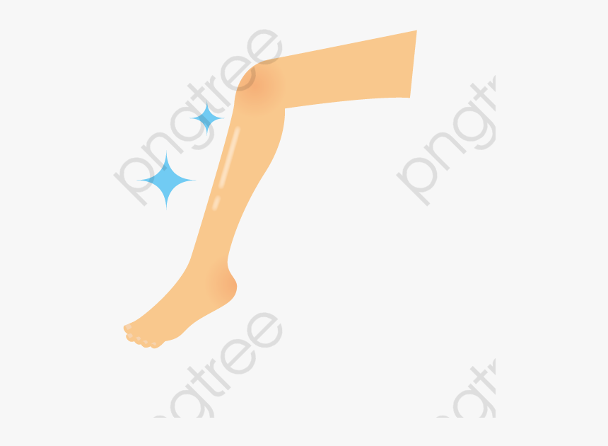 Legs Clipart Cartoon, HD Png Download , Transparent Png Image - PNGitem