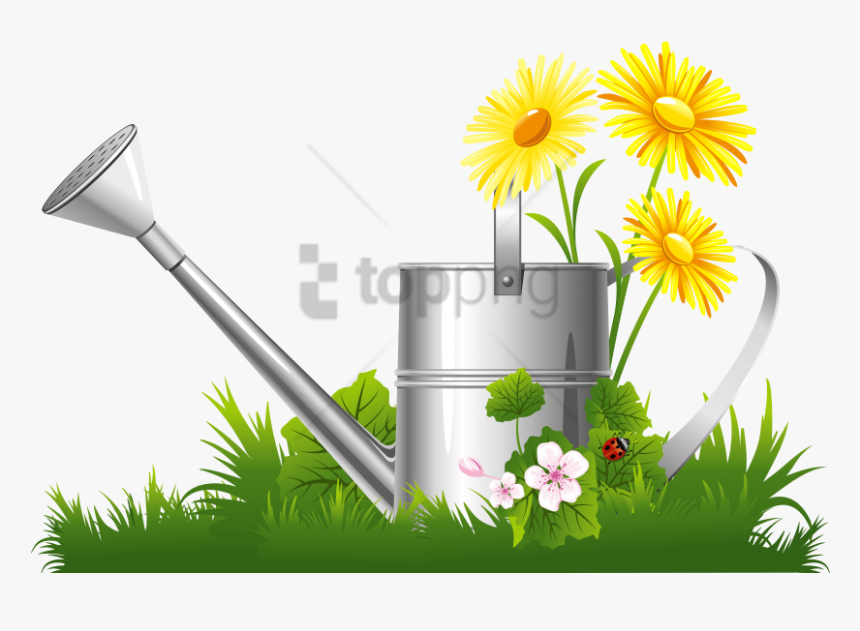 Free Png Spring Png Png Image With Transparent Background, Png Download ...