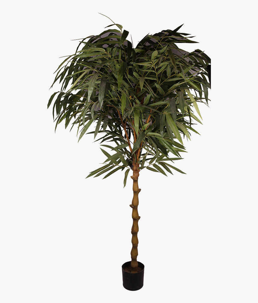 Desert Tree Png, Transparent Png , Transparent Png Image - PNGitem