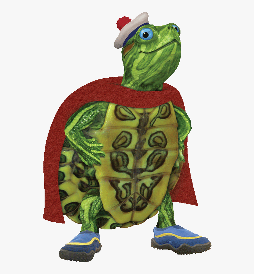 Turtle Tuck Nickelodeon Universe, HD Png Download , Transparent Png ...