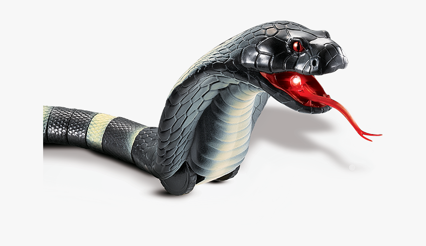 Snake Tongue Png, Transparent Png , Transparent Png Image - PNGitem