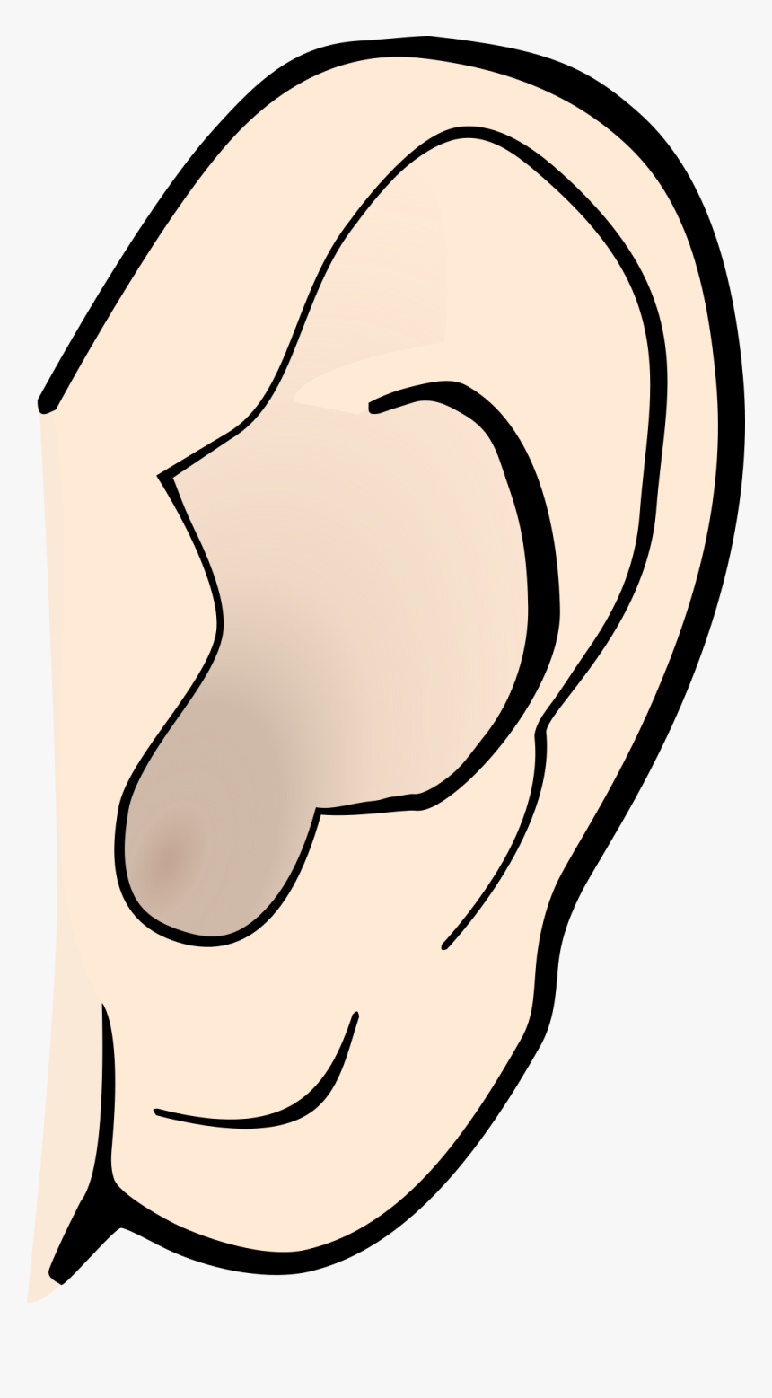 Ears Listening Png, Transparent Png , Transparent Png Image - PNGitem