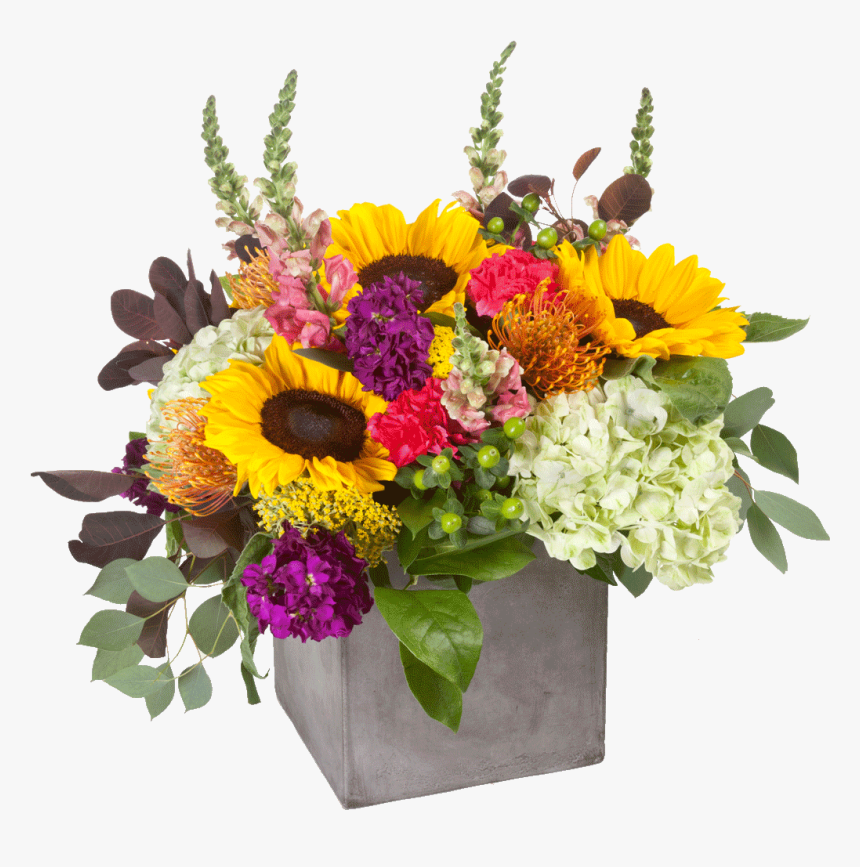 Transparent Summer Flowers Png, Png Download , Transparent Png Image ...