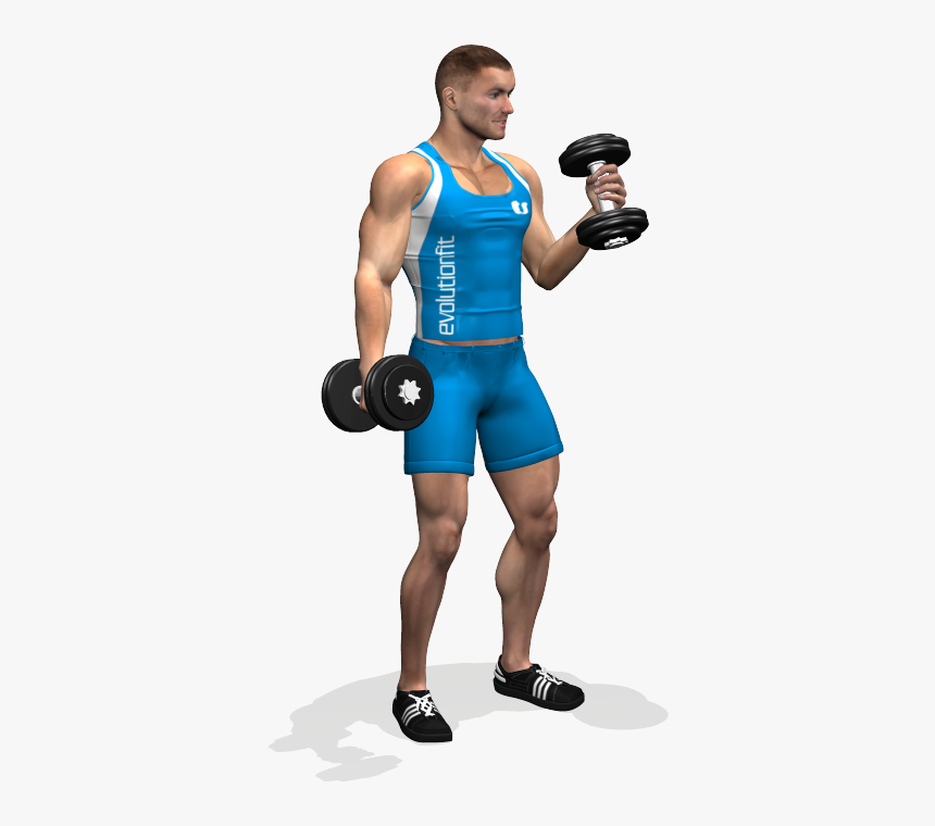 Bicep Png, Transparent Png , Transparent Png Image - PNGitem