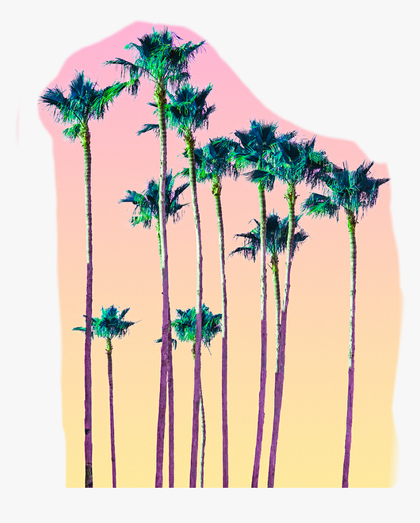 Transparent Neon Palm Tree Png, Png Download , Transparent Png Image ...