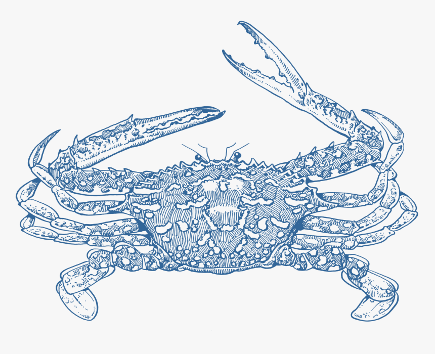 Blue Crab Png, Transparent Png , Transparent Png Image - PNGitem