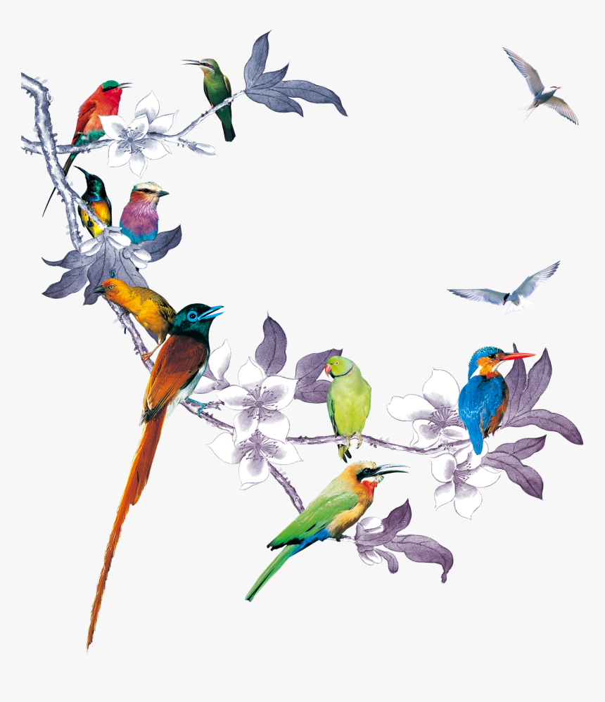 Bird And Flower Png, Transparent Png , Transparent Png Image - PNGitem