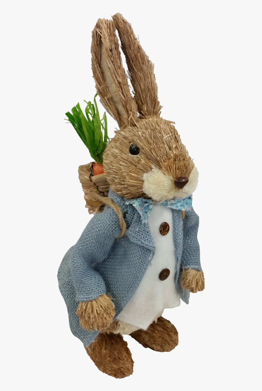 Carrots Png Peter Rabbit, Transparent Png , Transparent Png Image - PNGitem