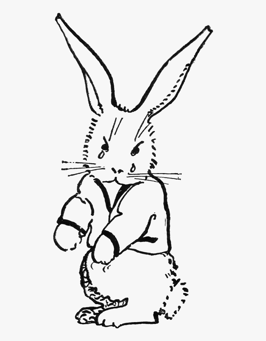 Peter Rabbit Albert 32, HD Png Download , Transparent Png Image - PNGitem