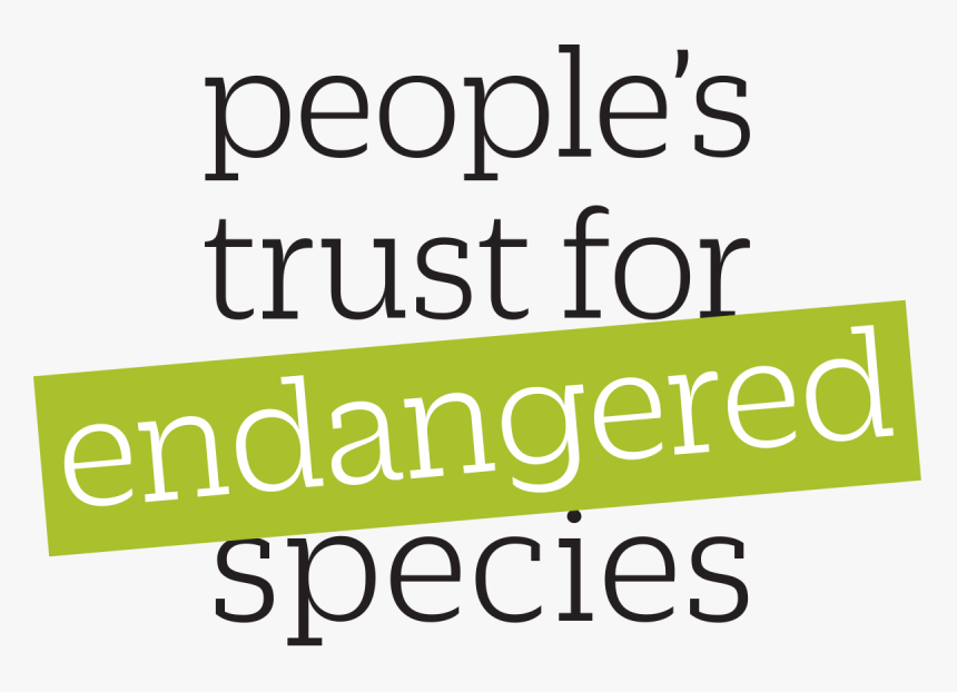 Trust Png, Transparent Png , Transparent Png Image - PNGitem