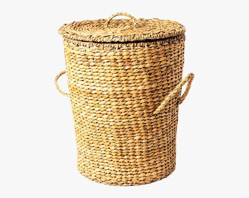 Bozy-136, HD Png Download , Transparent Png Image - PNGitem