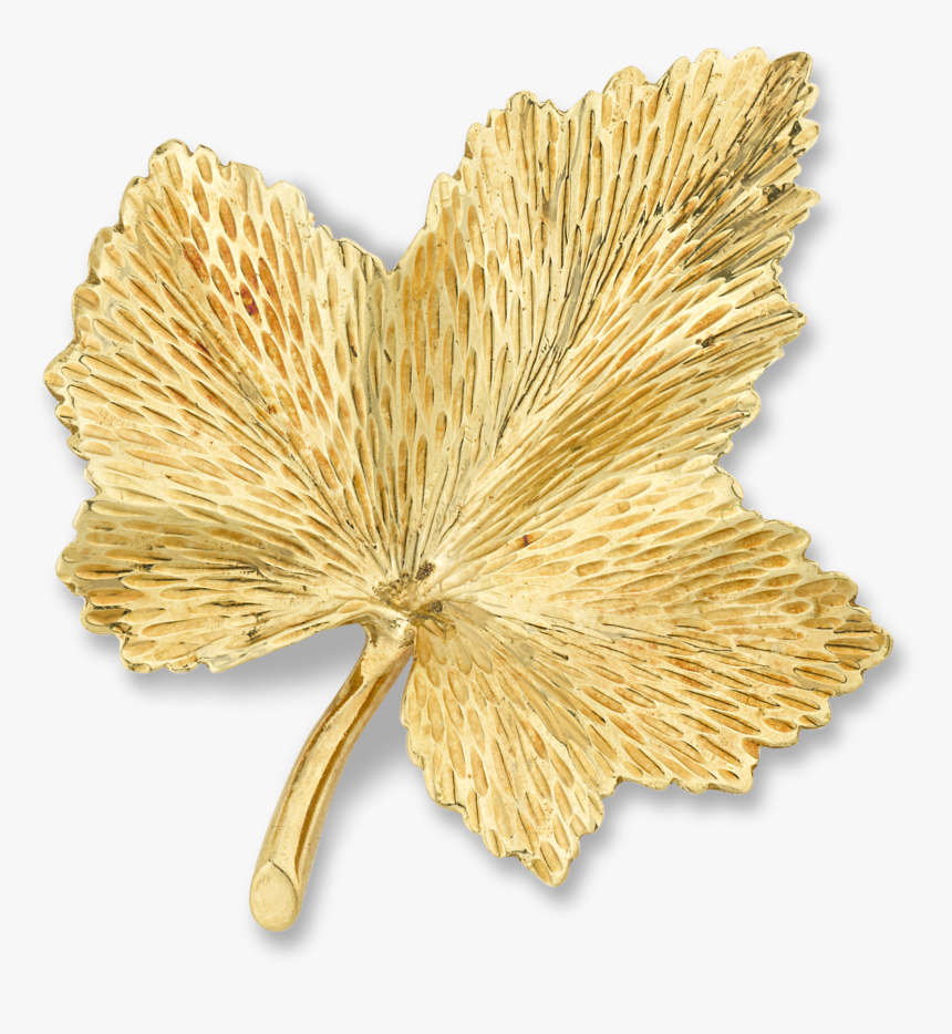 Gold Leaf Brooch, HD Png Download , Transparent Png Image - PNGitem