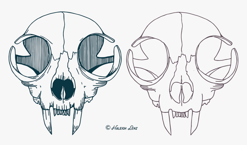 Transparent Skull Drawing Png, Png Download , Transparent Png Image ...