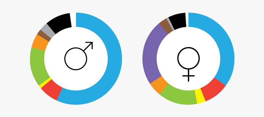 Colour By Gender, HD Png Download , Transparent Png Image - PNGitem