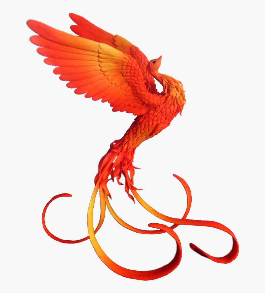 Transparent Phoenix Bird Png, Png Download , Transparent Png Image ...