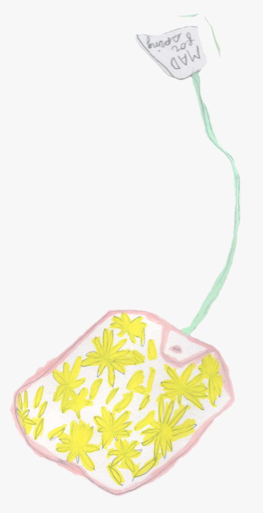 Anthro Alice Tea, HD Png Download , Transparent Png Image - PNGitem