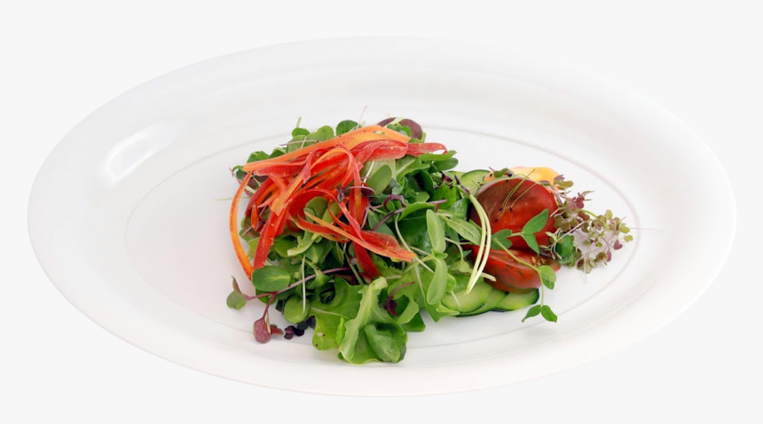 Food Plate Png, Transparent Png , Transparent Png Image - PNGitem