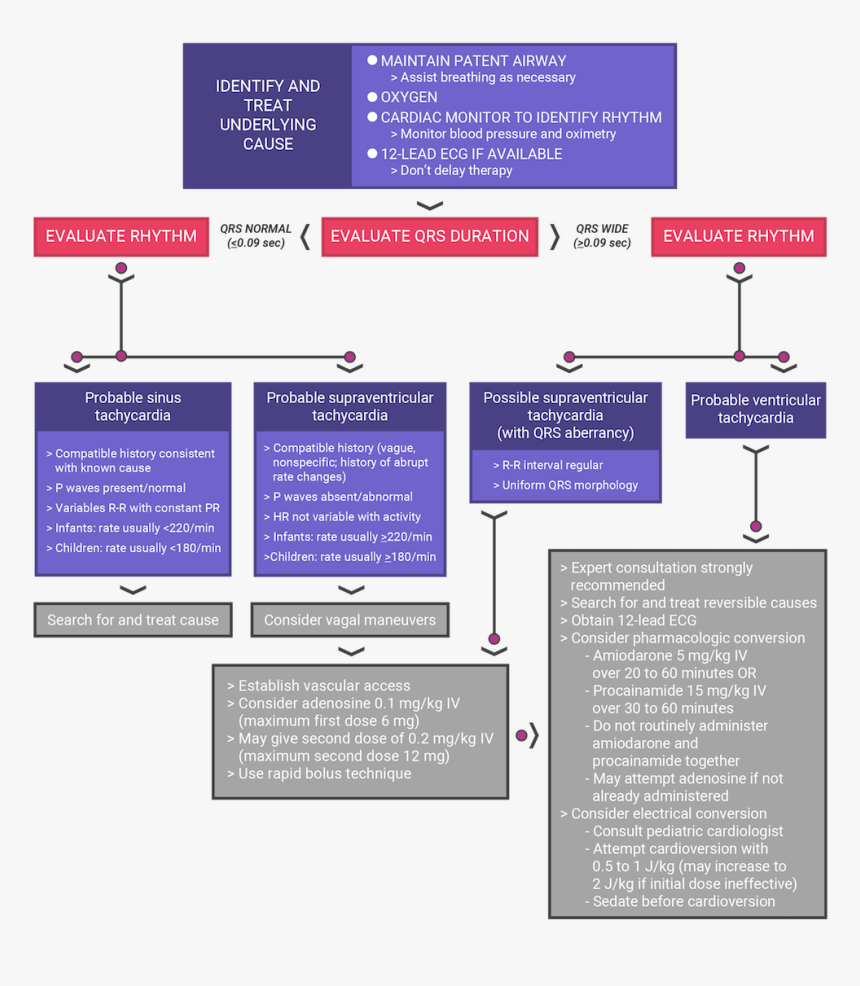 Pediatric Tachycardia With A Pulse And Adequate Perfusion, HD Png ...