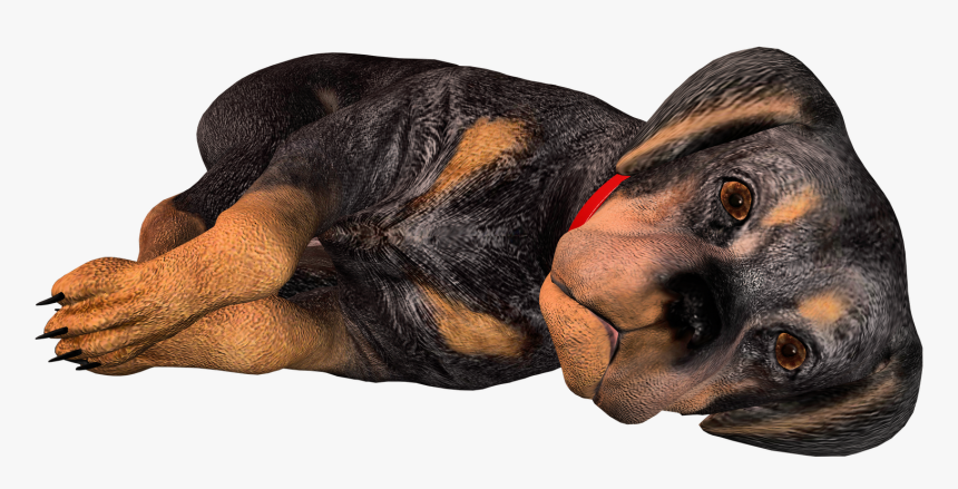 Transparent Hunting Dog Clipart, HD Png Download , Transparent Png ...