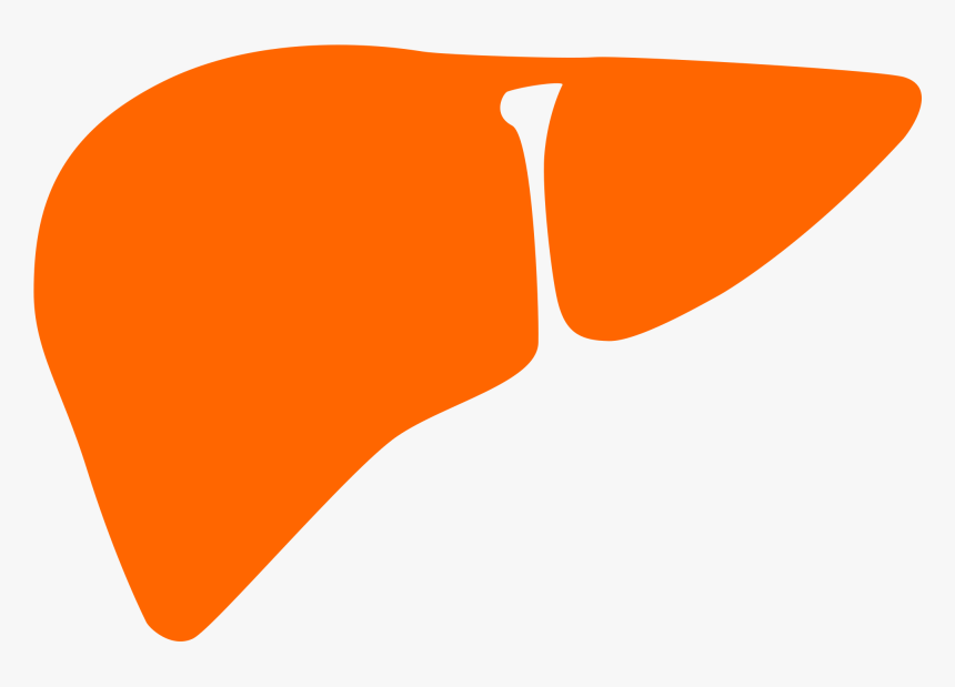File Noun Cc Orange Wikimedia Commons Open - Orange Liver, HD Png ...