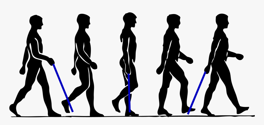 Walking Person Clip Art - Man Walking Step By Step, HD Png Download ...