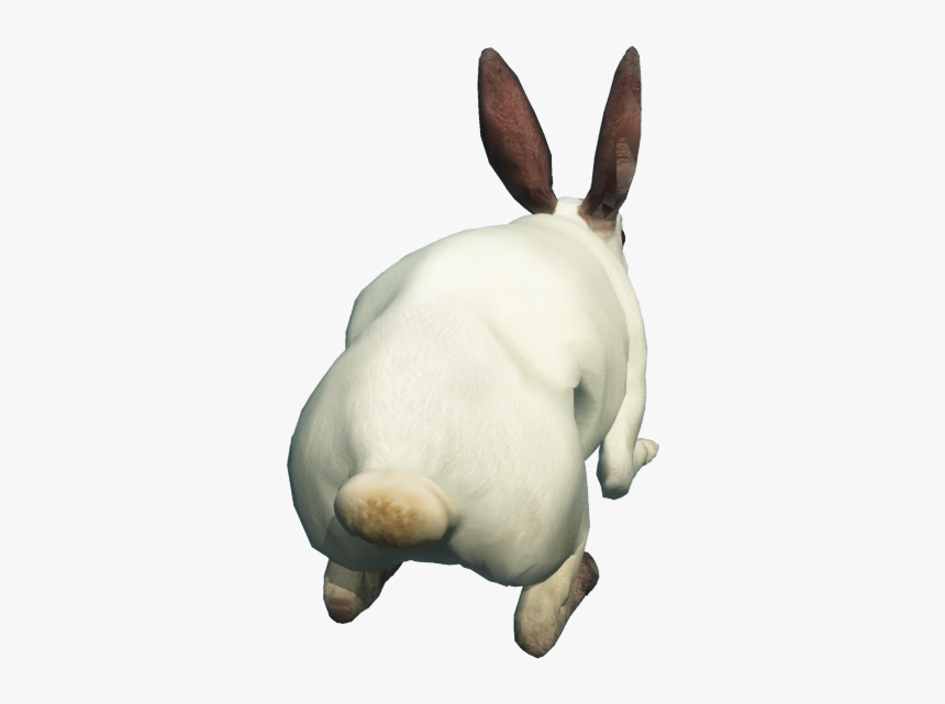 Free Download Of Rabbit Icon Clipart - Rabbit From Back Png ...