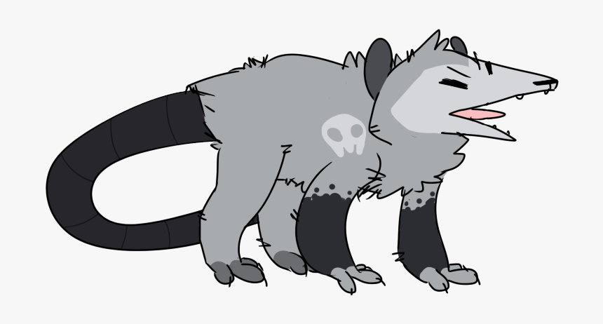 Awesome Possum, HD Png Download , Transparent Png Image - PNGitem