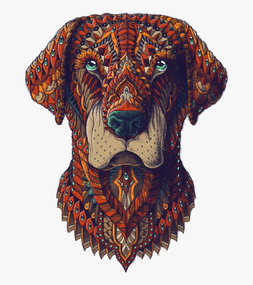 Abstract, Animal, And Animals Image, HD Png Download , Transparent Png ...