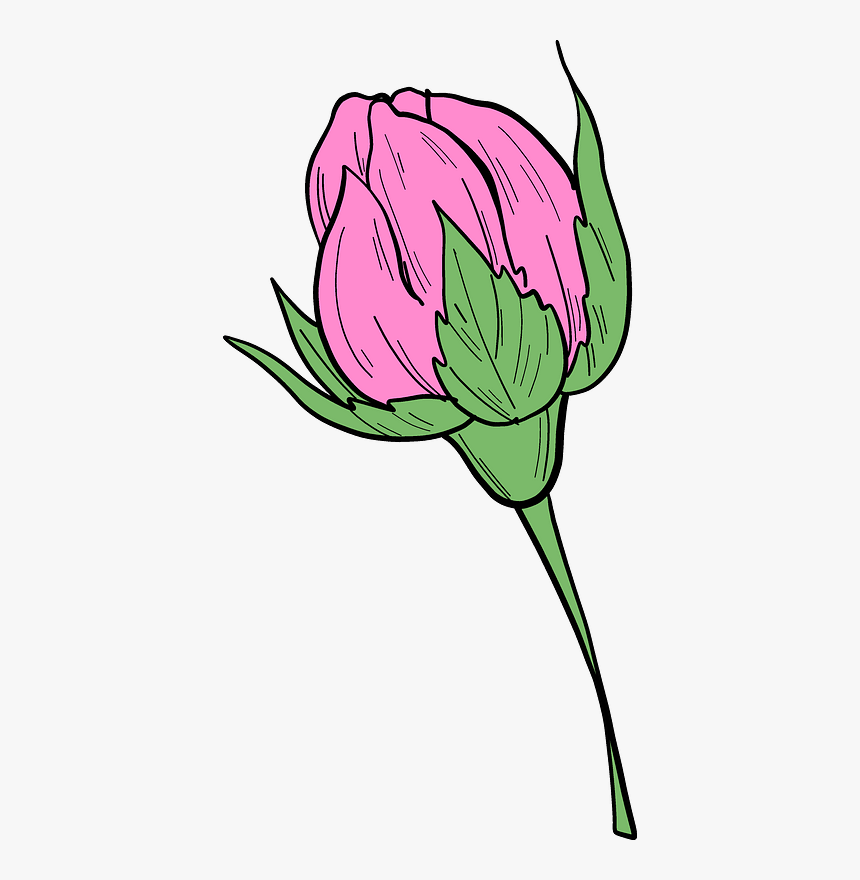 Rose Bud Clipart, HD Png Download , Transparent Png Image - PNGitem