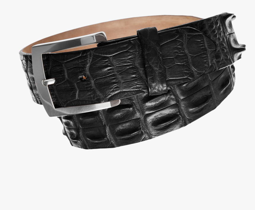 Transparent Belts Png, Png Download , Transparent Png Image - PNGitem