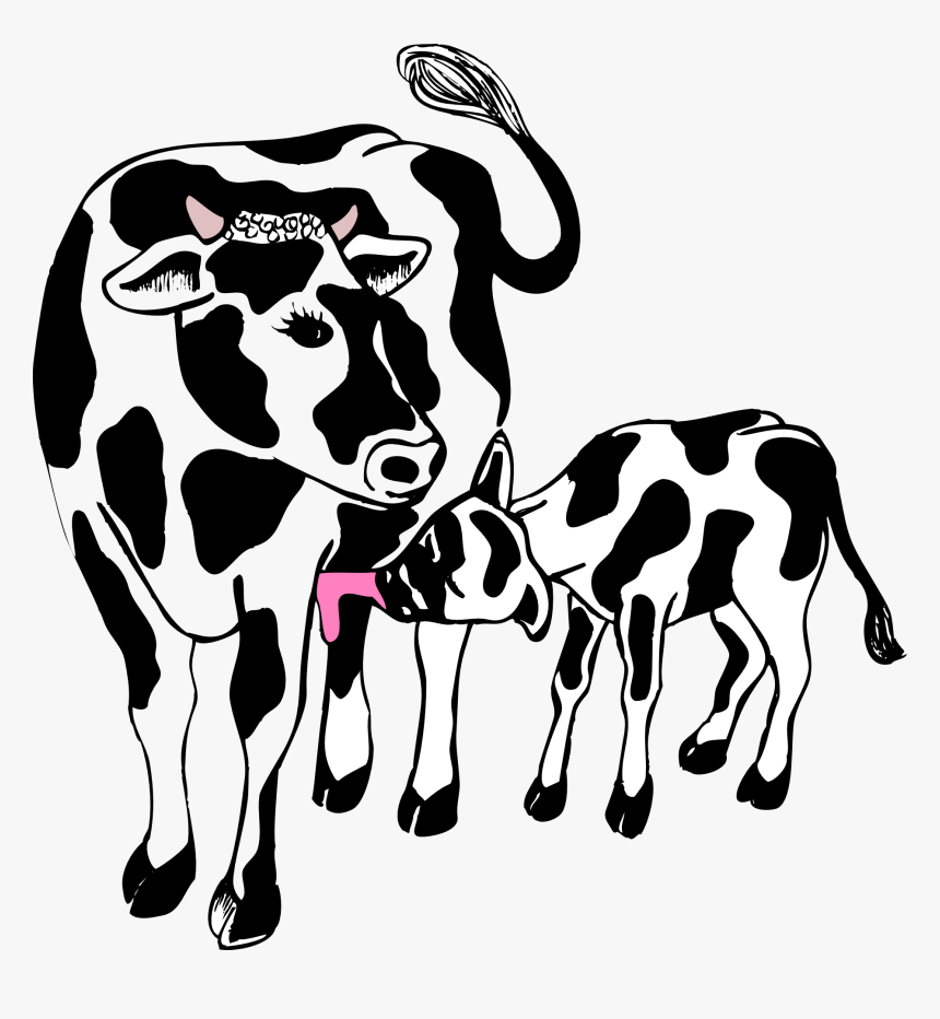 Cow And Calf Clip Art Vector Clipart Cliparts For You, HD Png Download ...