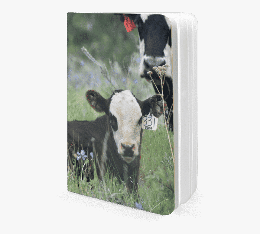 Indian Cow With Calf Png, Transparent Png , Transparent Png Image - PNGitem