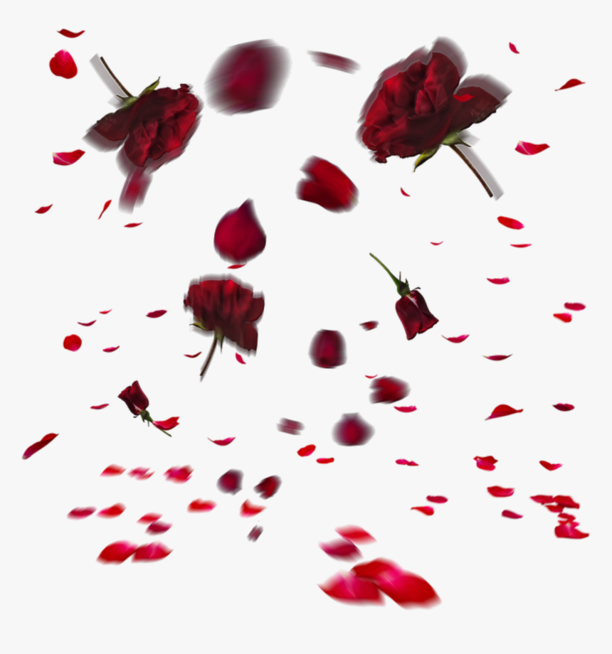 Flower Falling Png, Transparent Png , Transparent Png Image - PNGitem