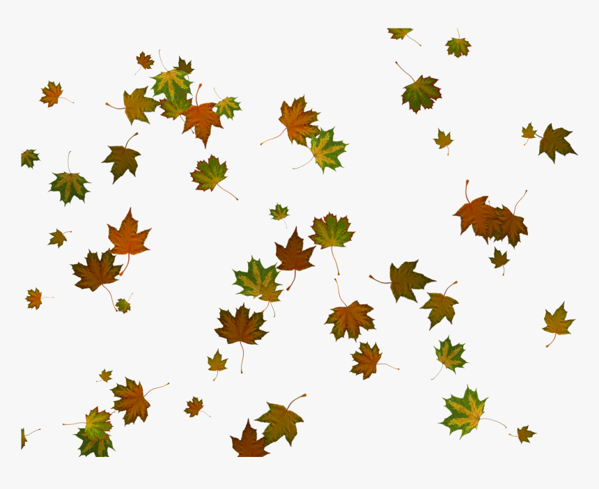50 Falling Leaves Png Photoshop Overlays Background, Transparent Png ...