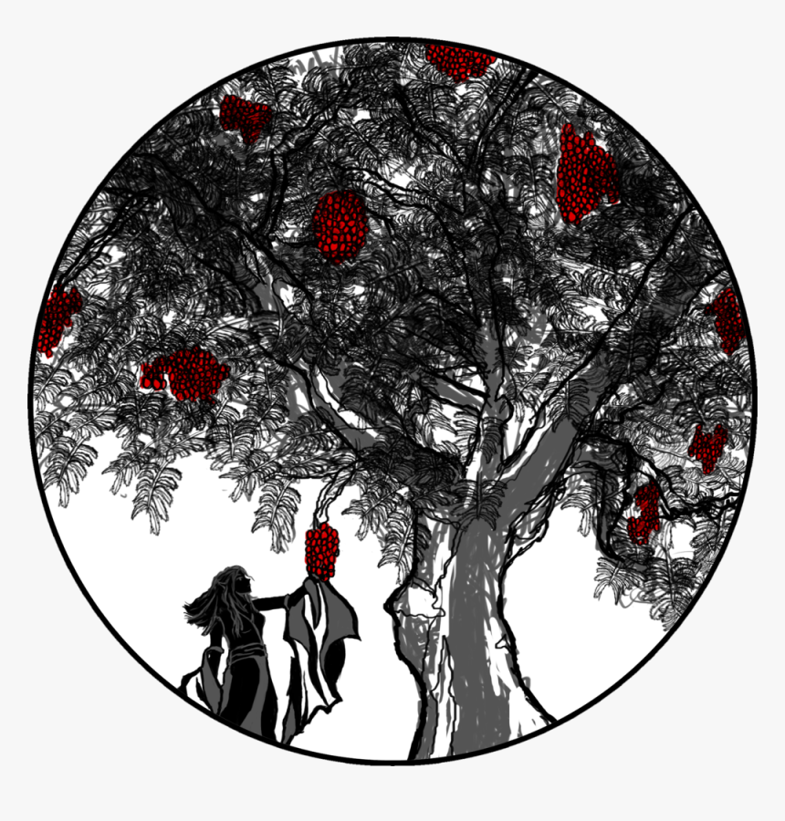Rowan Tree Transparent Back, HD Png Download , Transparent Png Image ...
