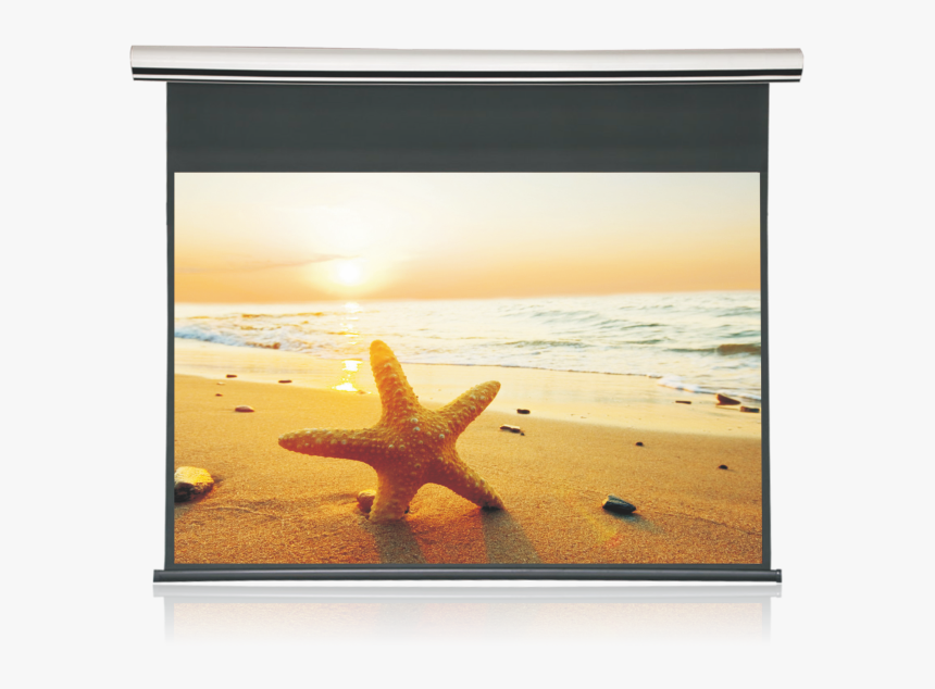 Projector Screen Png, Transparent Png , Transparent Png Image - PNGitem