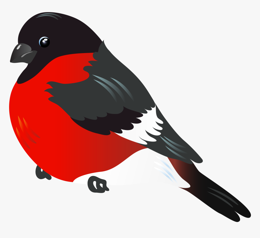 Red Bird Png , Png Download, Transparent Png , Transparent Png Image ...