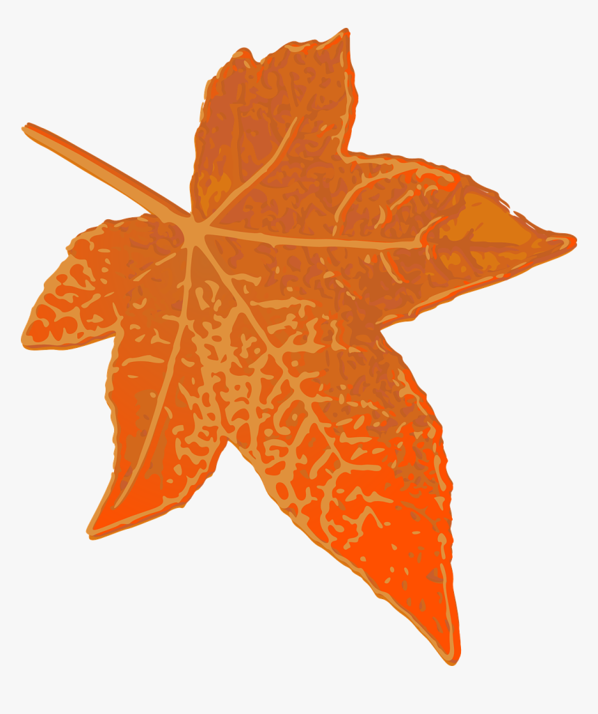 Maple Png, Transparent Png , Transparent Png Image - PNGitem