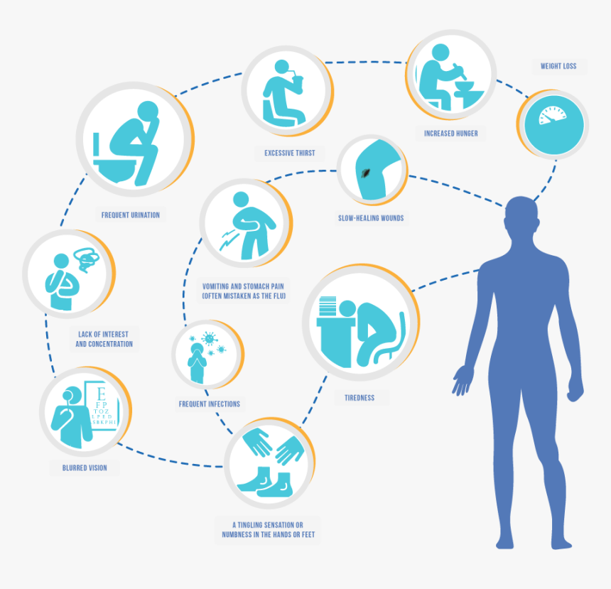 The Development Of Type 1 Diabetes Is Usually Sudden, HD Png Download ...