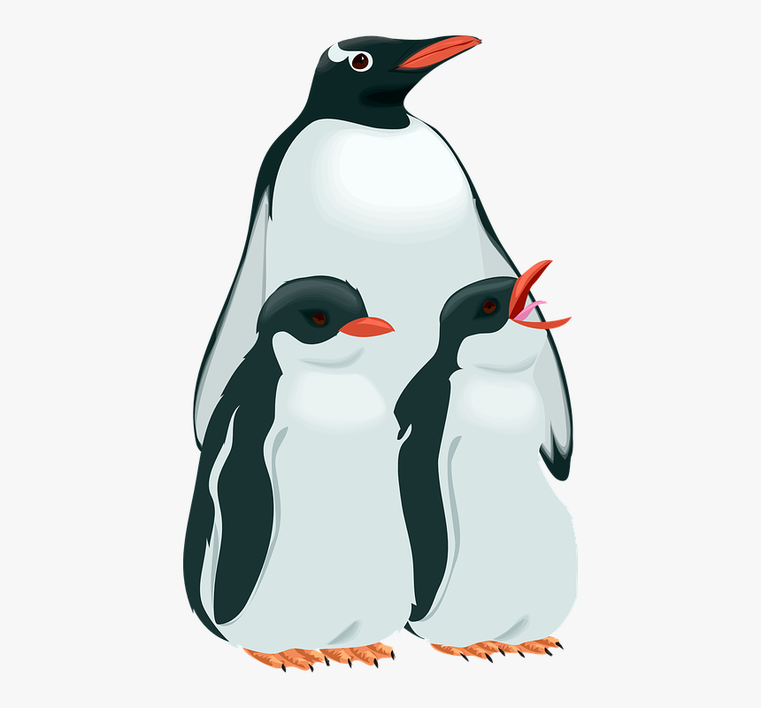 Transparent Penguins Png, Png Download , Transparent Png Image - PNGitem